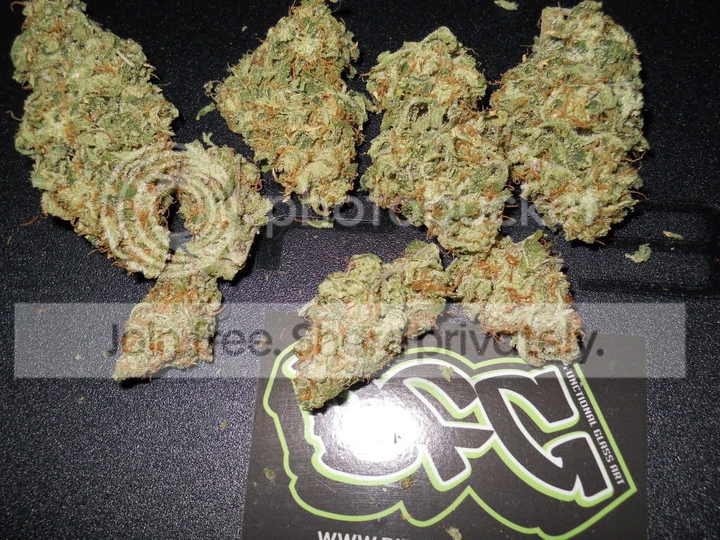 Boston Pickup - Government Mule [G13 x Deep Chunk] /lots of macros ...