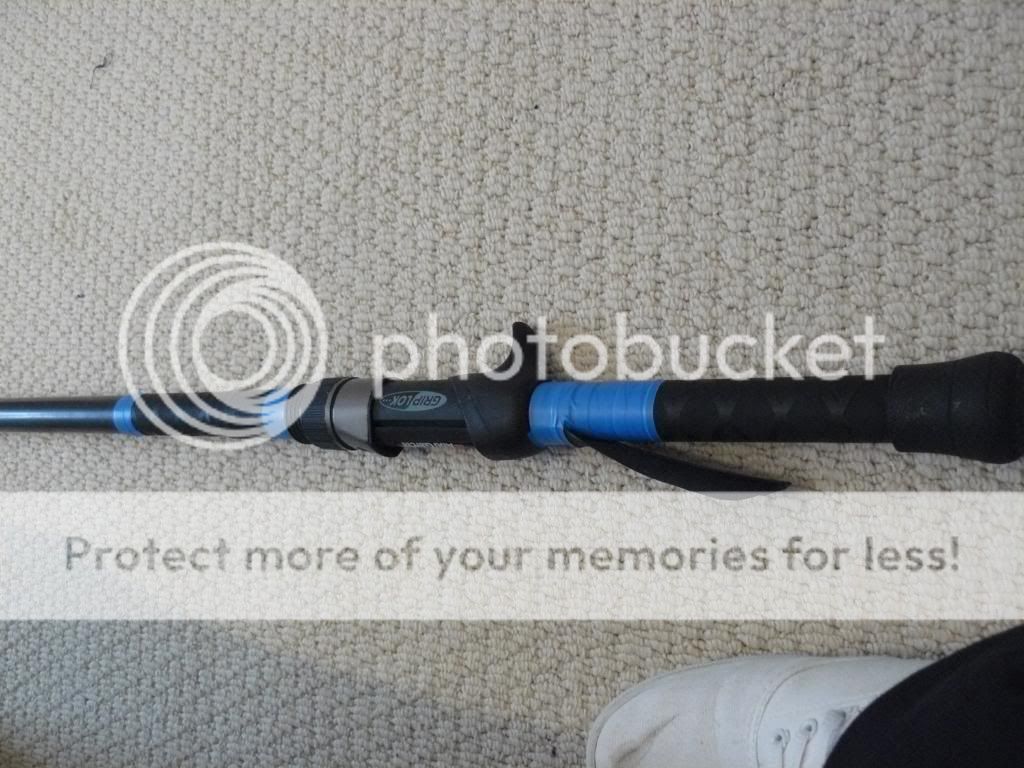 afaw 6 | World Sea Fishing Forums